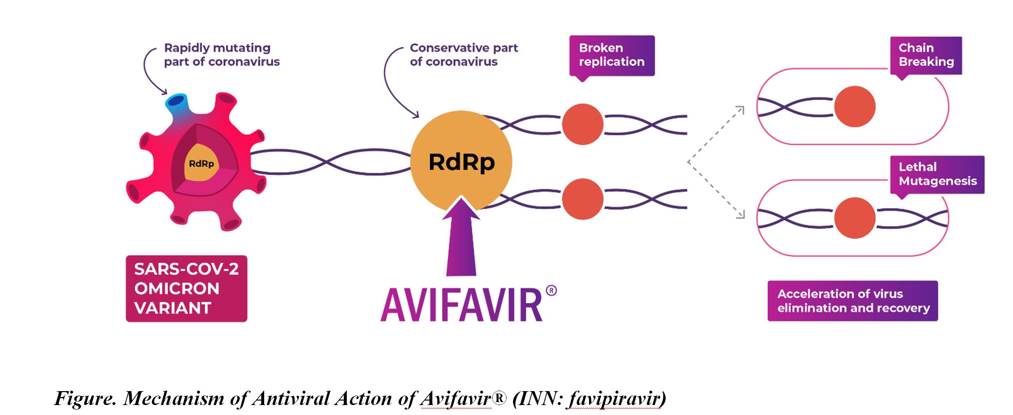 ChemRar Group announces the Russian Avifavir® drug is effective against ...
